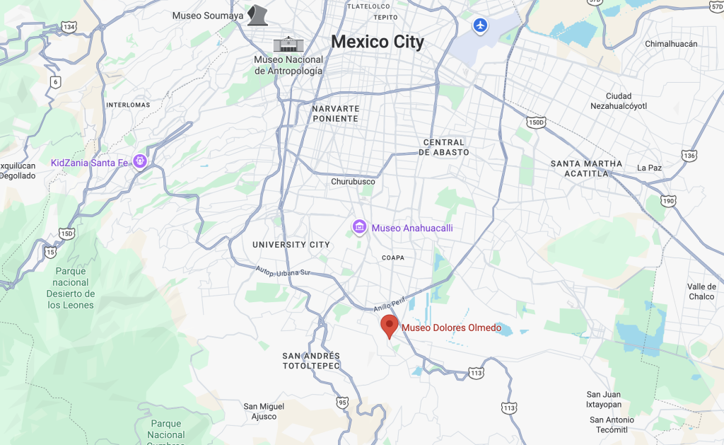 María de los Dolores Olmedo y Patiño Suárez: The Patroness of Mexican ...
